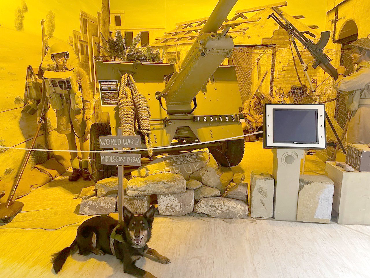 RAAF staff with their military dogs